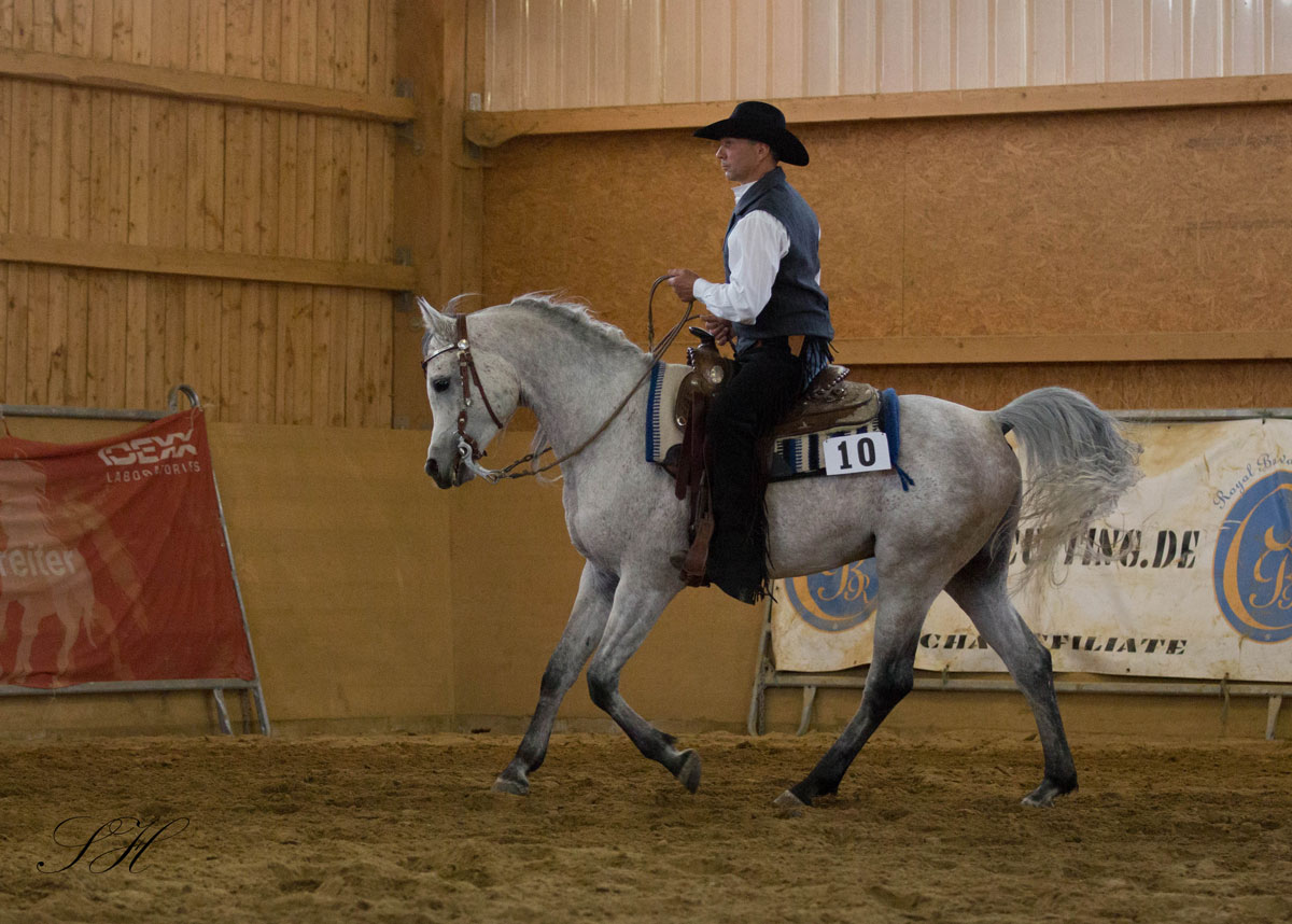 Western Leistungsprüfung in Aachen - VZAP